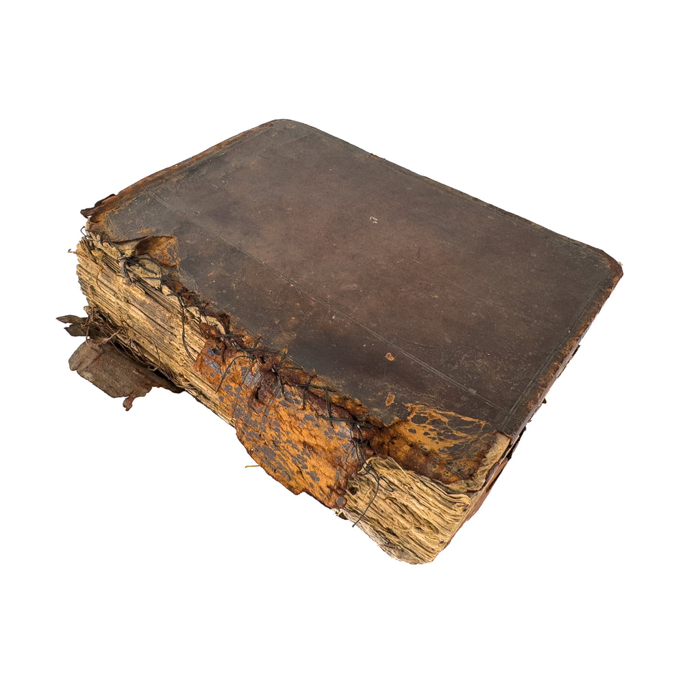 Collections – Specs Fine Books